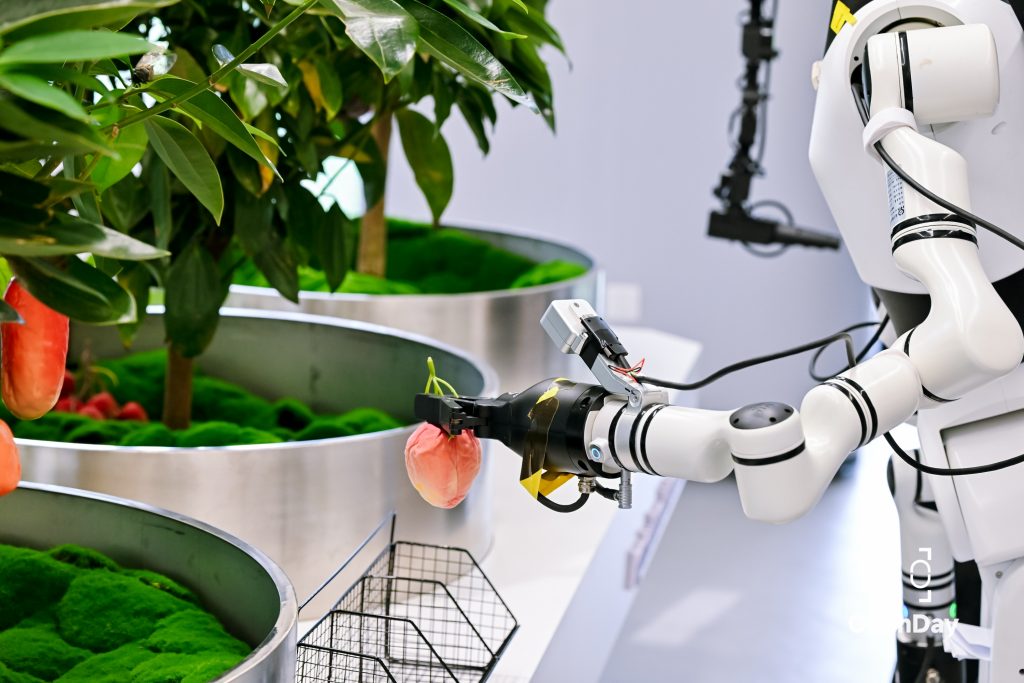 RealMan Robotics lancia un centro di addestramento per i robot umanoidi